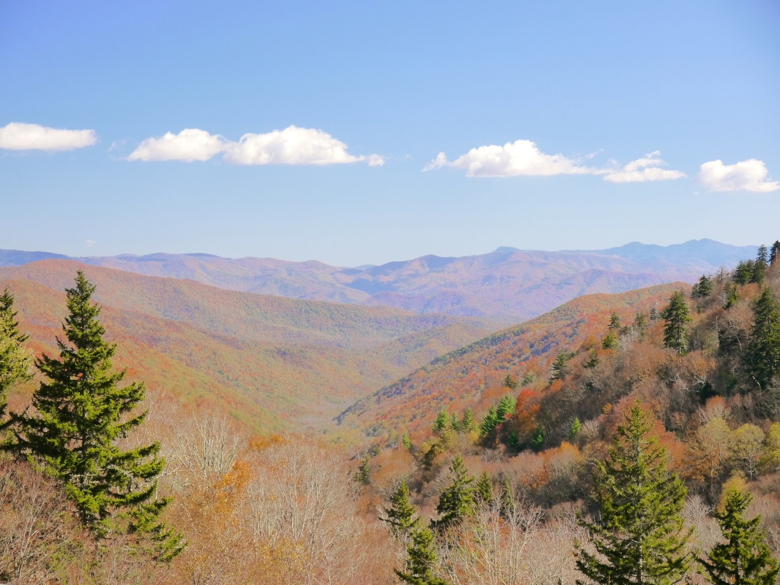 American Travel Journal: Newfound Gap Road from the Gap to Oconaluftee ...