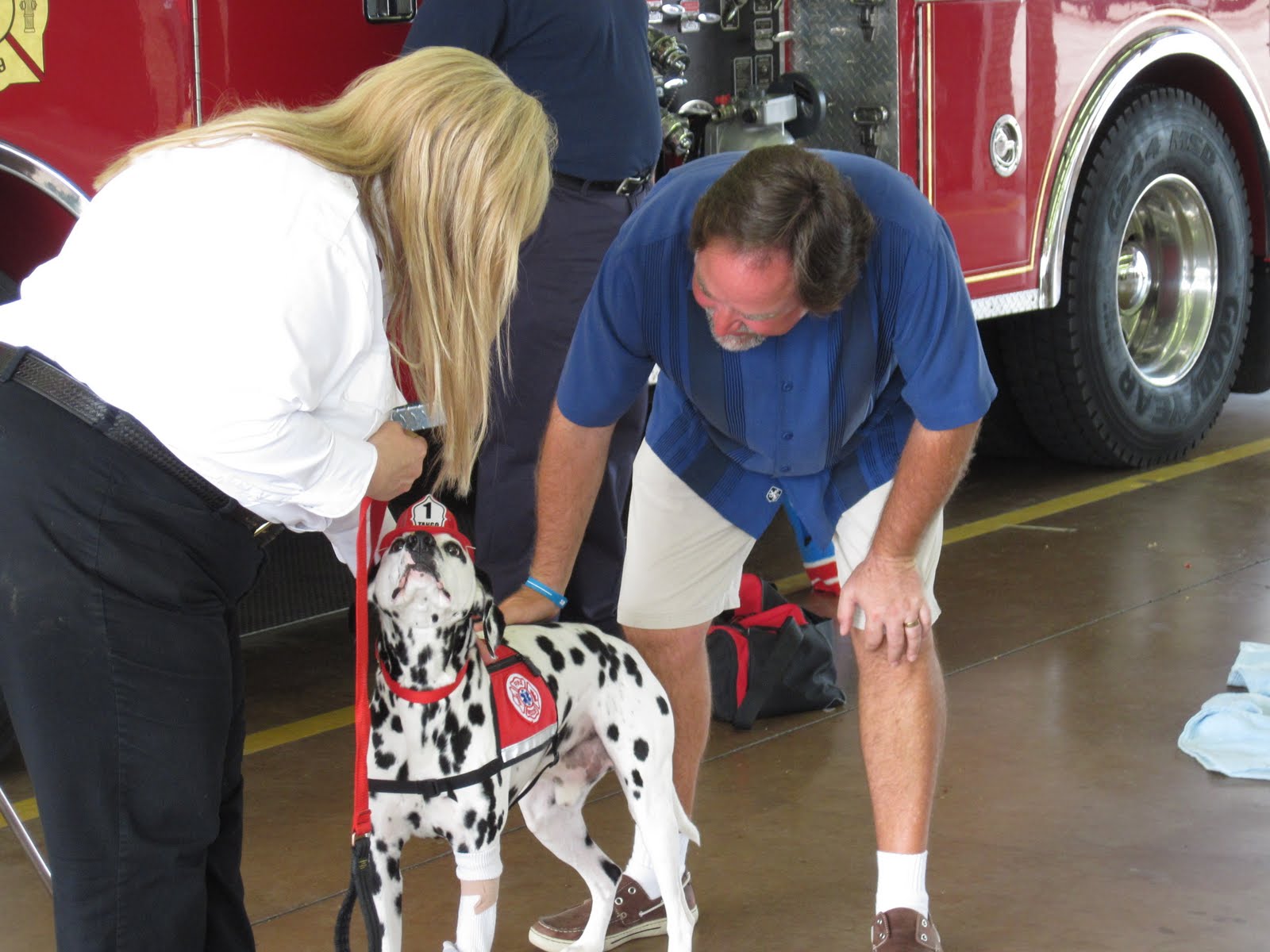 Sparkles the Fire Safety Dog: Tango the Fire Safety Dog makes Fire ...