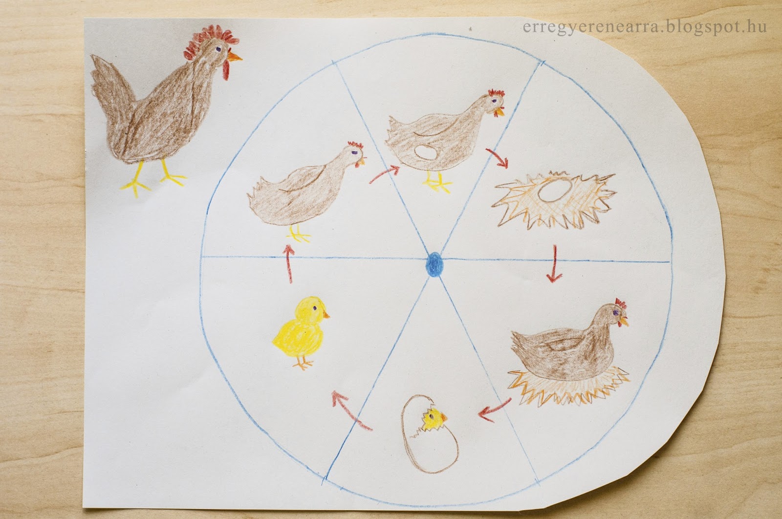 a mi utunk: a tyúk meg a tojás