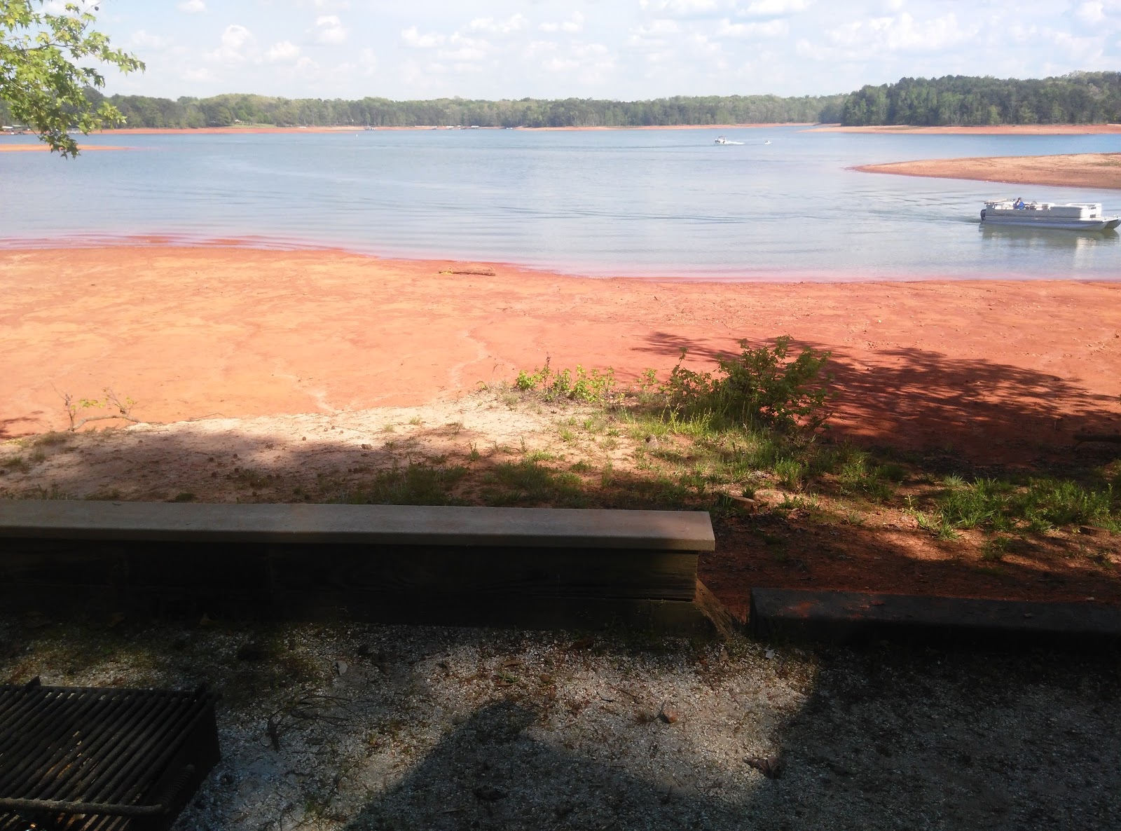 Retha's Campsite Reviews: Springfield Campground, Lake Hartwell COE ...