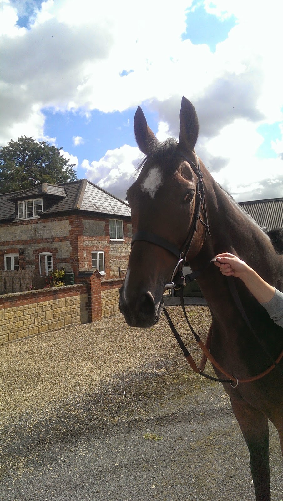 Simon Earle Racing: Gustav