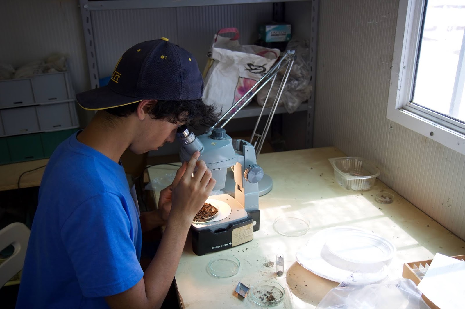 Lapis Gabinus: official blog of the Gabii Project: Why excavations are ...