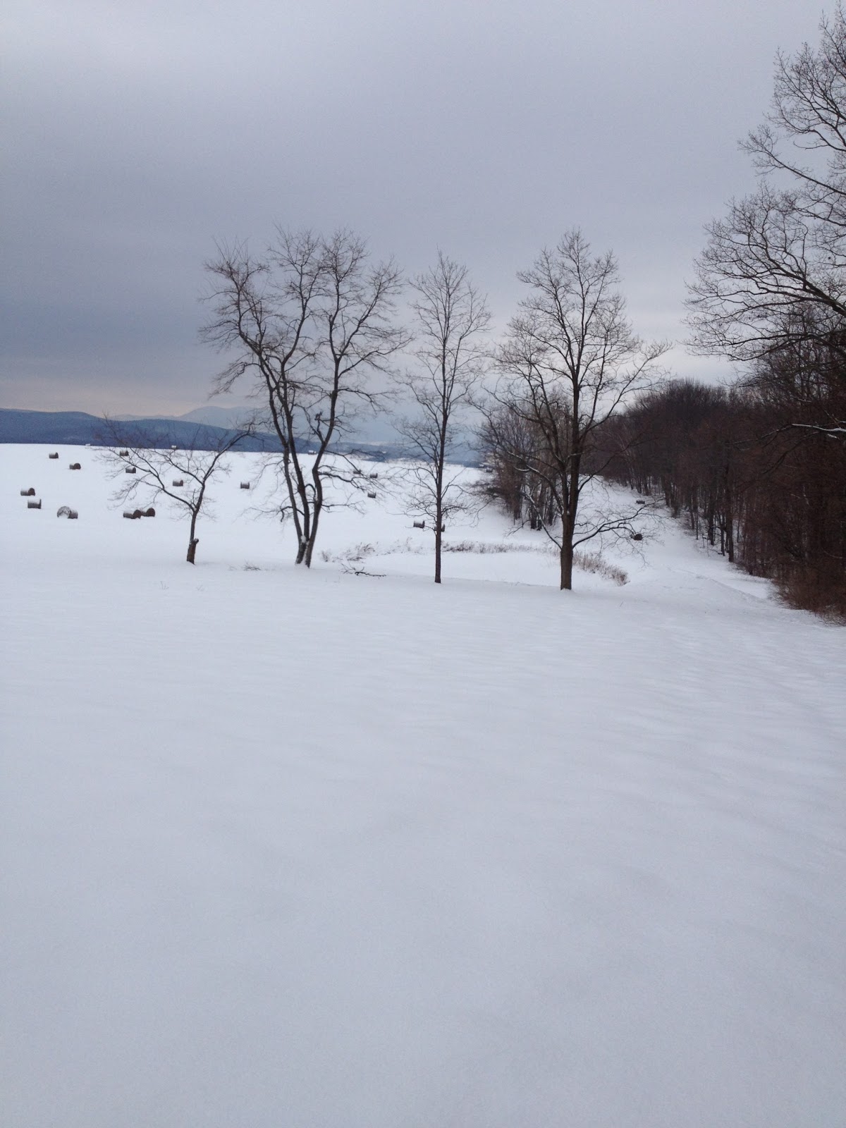 la porte rouge: winter in the woods and snow