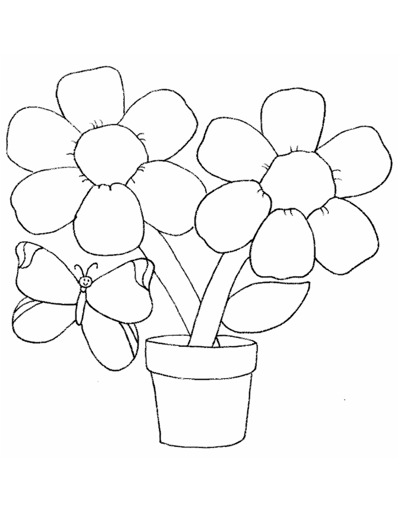 Butterflies And Flowers Coloring Page Desktop Background 790 X 1053 Butterflies And Flowers Coloring Page Desktop Background 790 X 1053