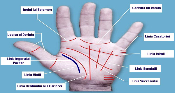 Pentru Suflet: Tu te numeri printre ei? Daca ai aceasta linie in palma ...