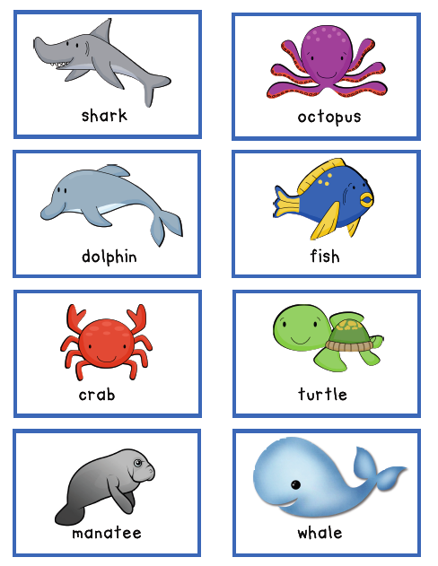 English Time!: Sea animals