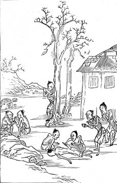 The Scientific Journals: Once were Canibals : 4. Understanding Cannibalism