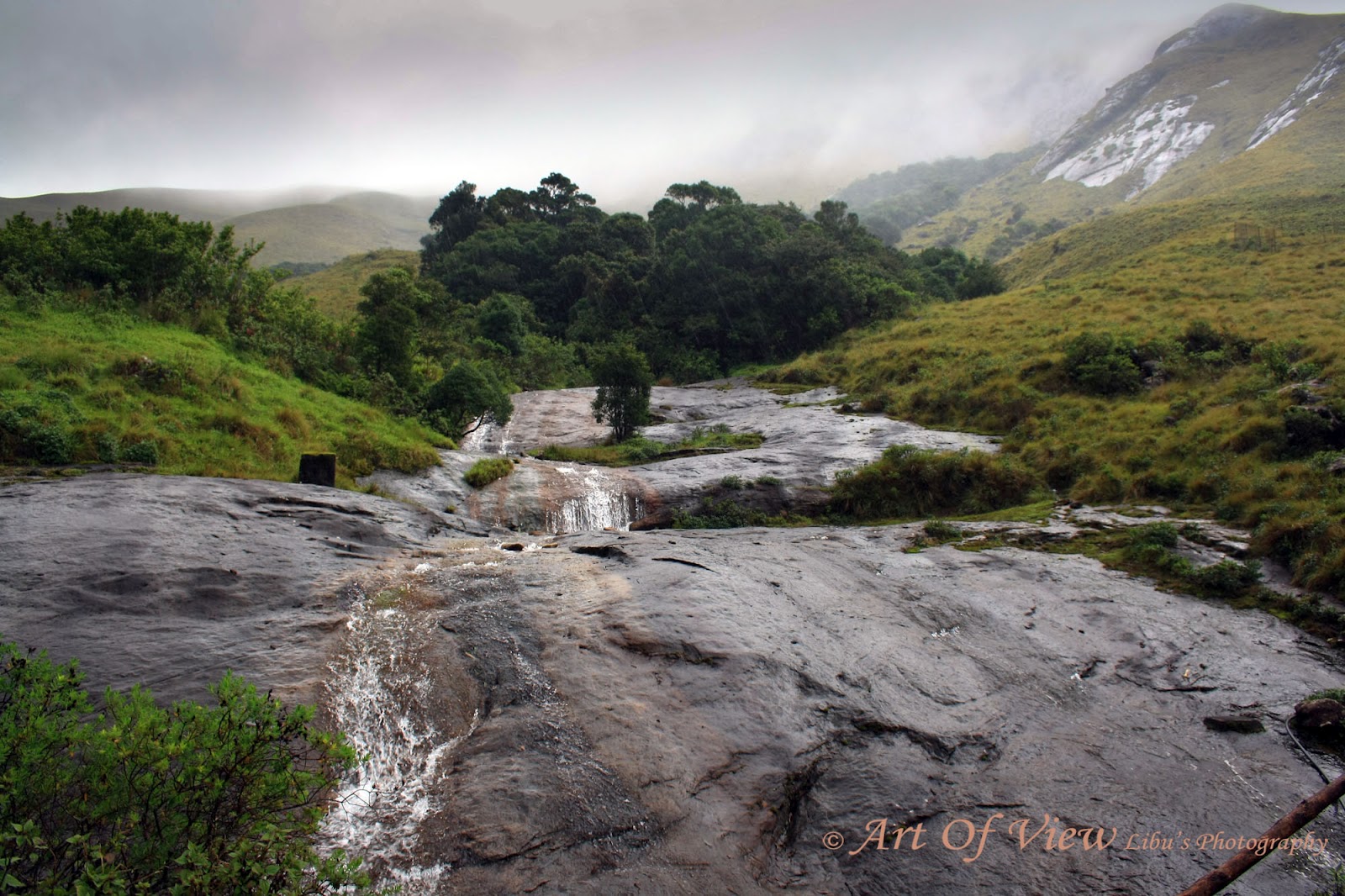 Raja Mala ( Eravikulam National Park) | Art Of View