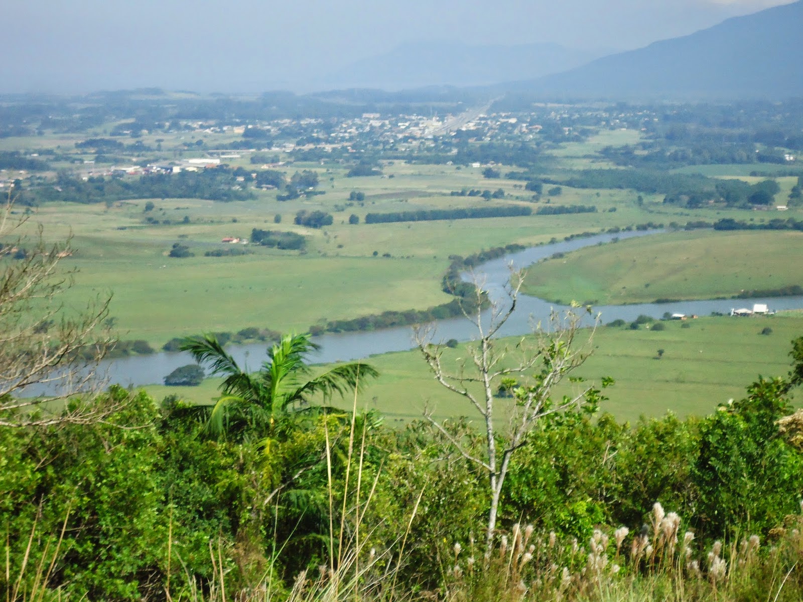 Lycengraulis: Lagoa Itapeva, litoral norte RS