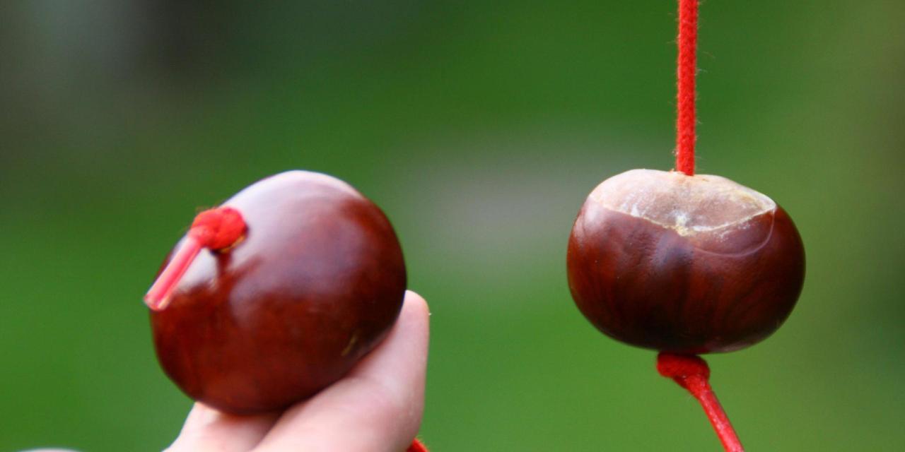 Bytes: Steve's Conkers