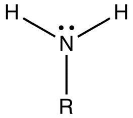 Mundo da Bioquímica (blog sobre bioquímica): Grupo amina