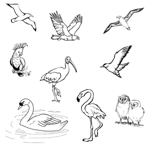 Desene de colorat si planse educative: Animale de colorat