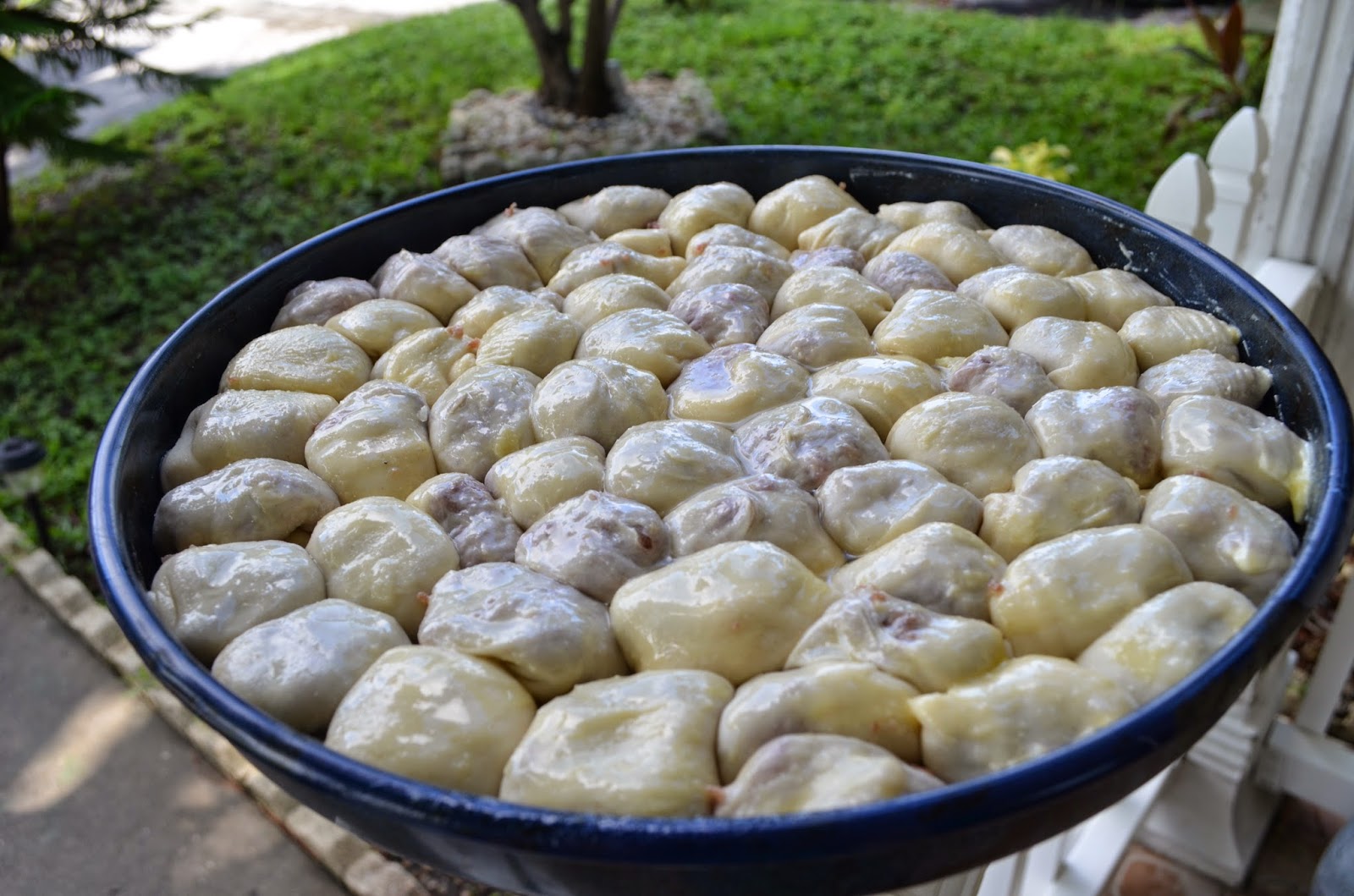 bebina kuhinjica: Buredzici