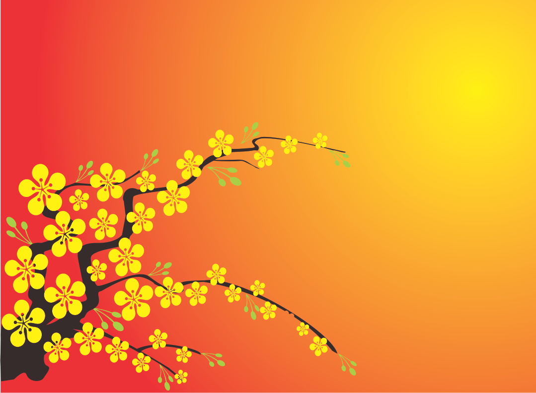 vietsinhvienit: vector hoa mai