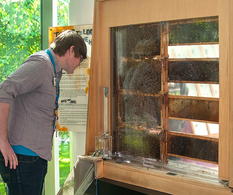 Pacific Science Center Life Sciences: Busy Bees