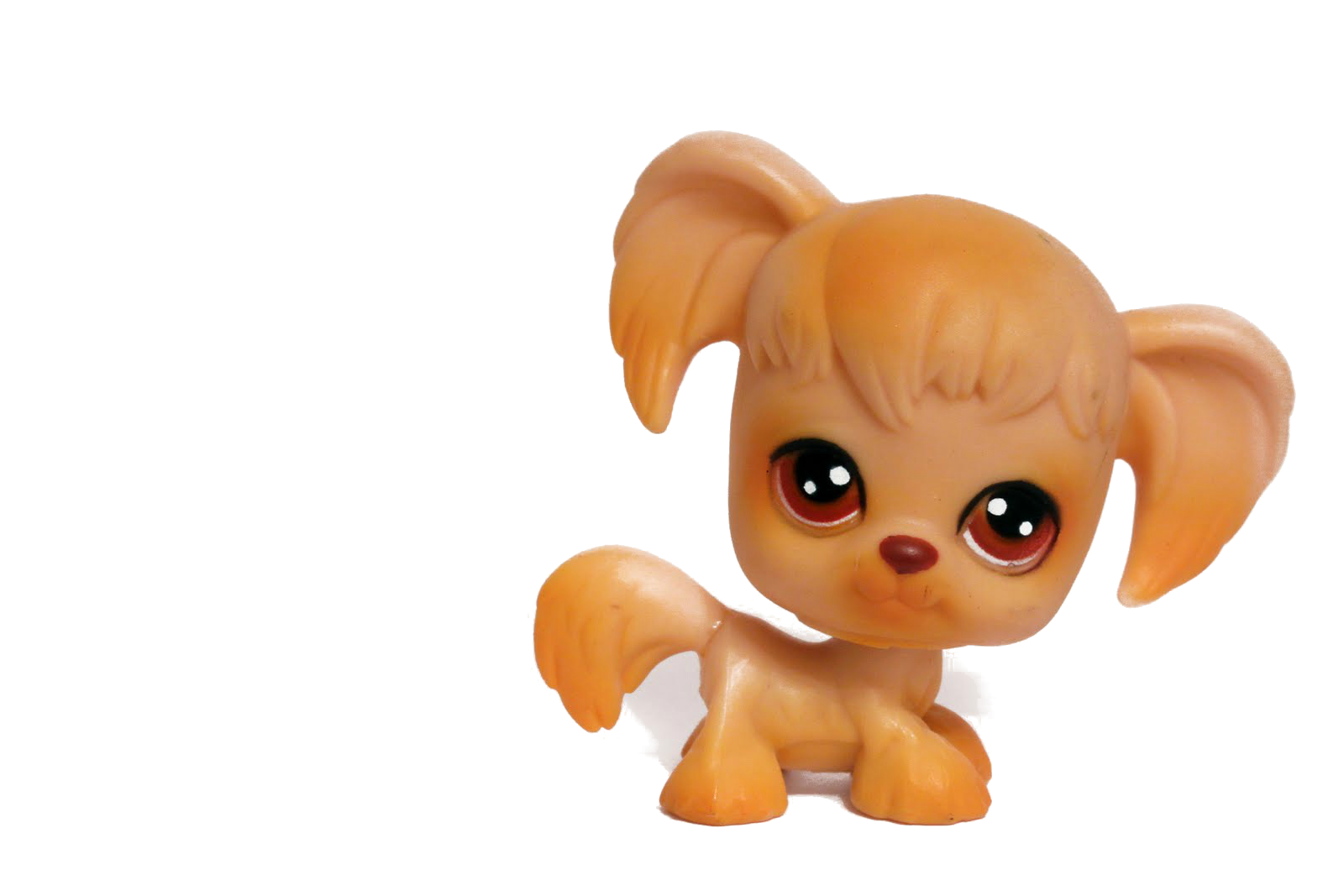 LPS Transparent