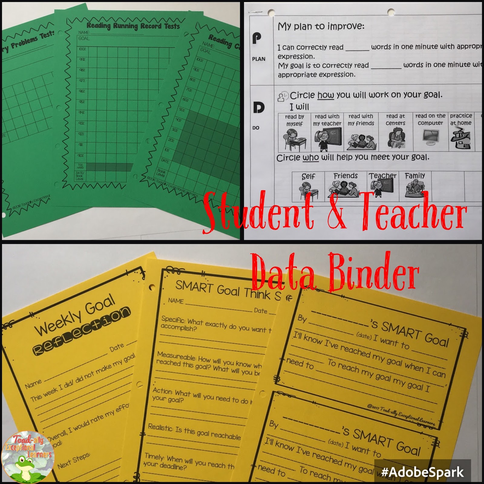 Toad-ally Exceptional Learners: 2017