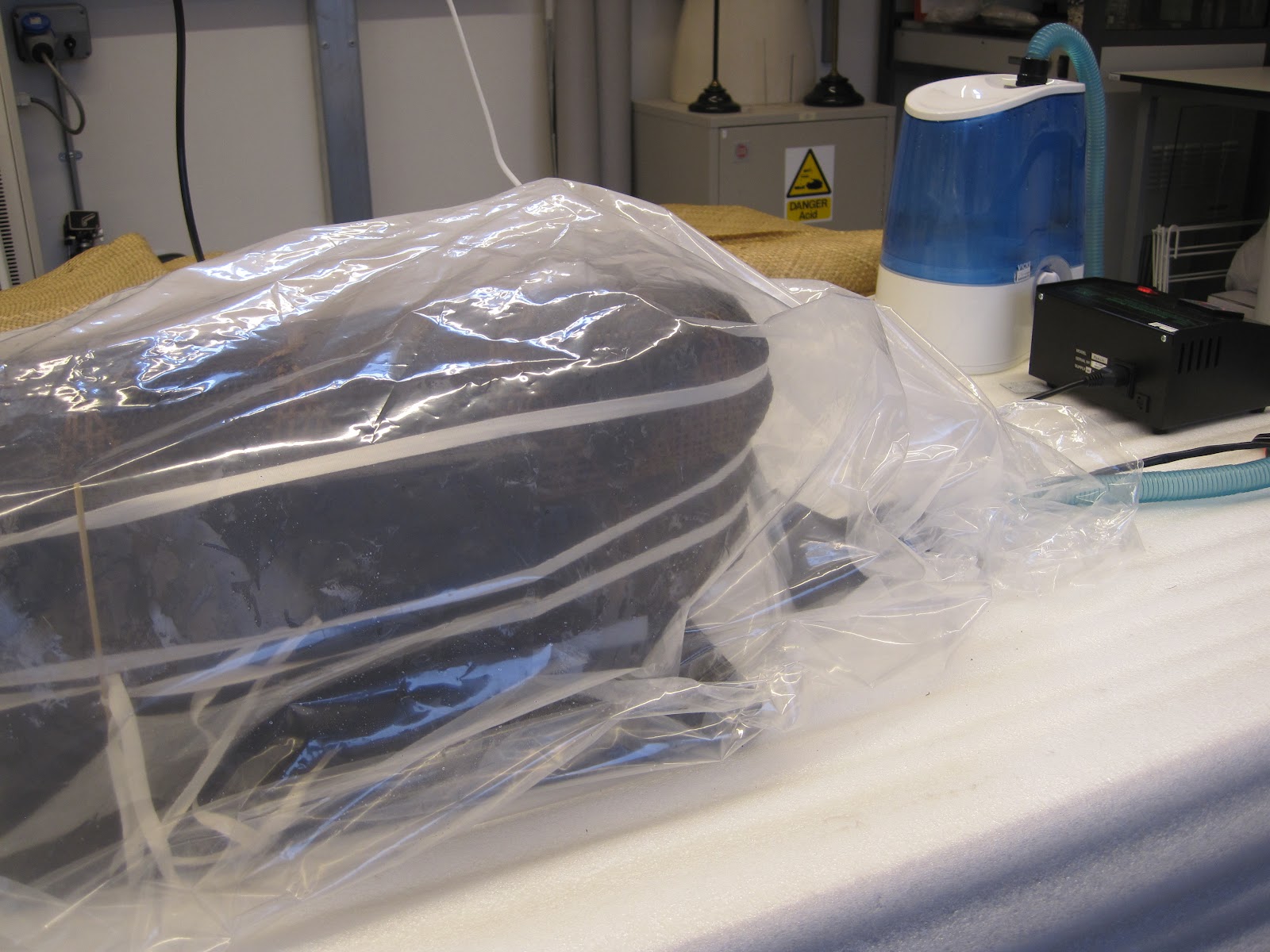 Conserving "Curiosities": July 2012