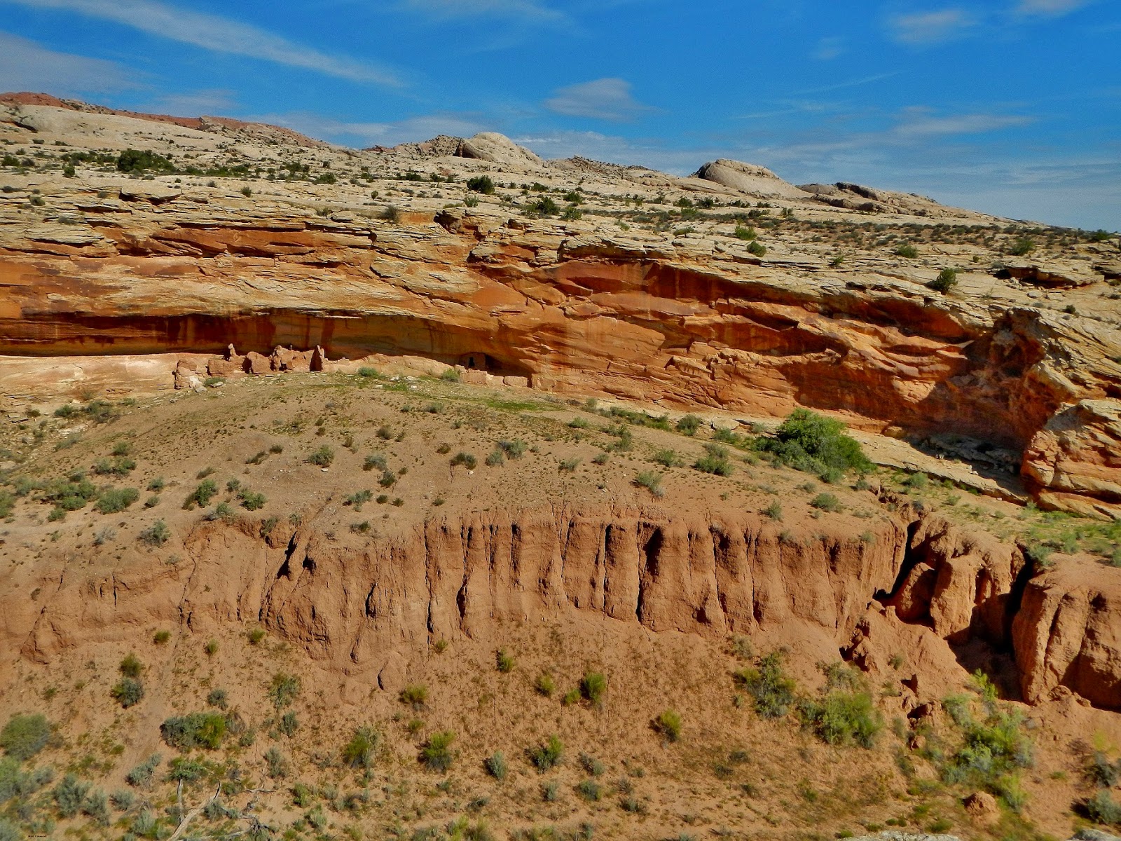 The Southwest Through Wide Brown Eyes: Wolfman Panel and Ruins - Comb ...