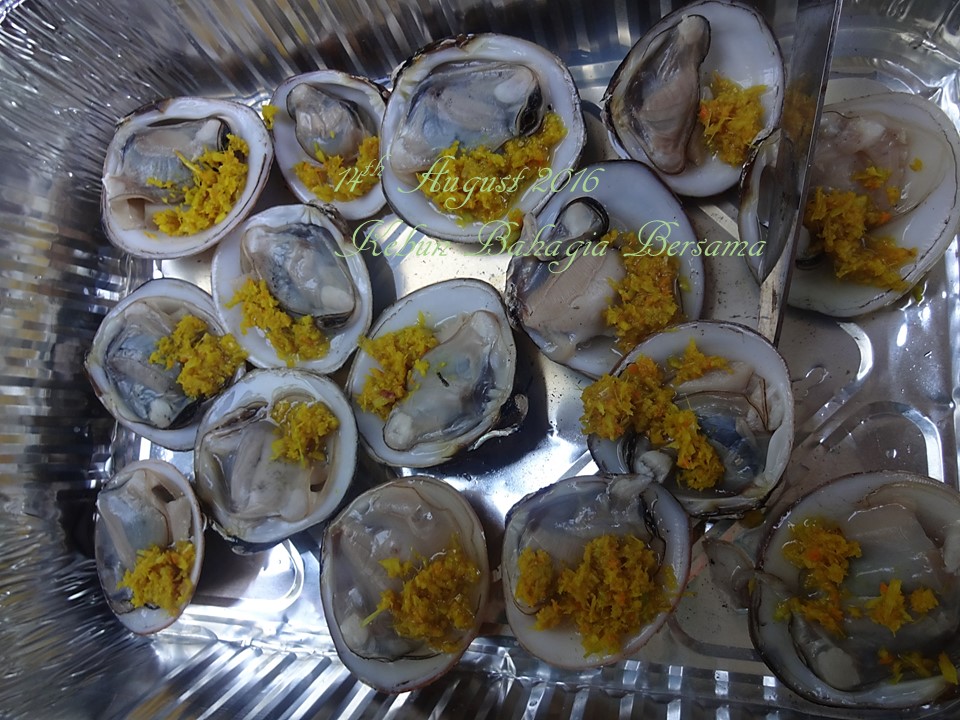 Kebun Bahagia Bersama: ShellOut Lokan