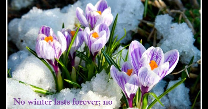 A Super Hodgepodge - Preppy Empty Nester F