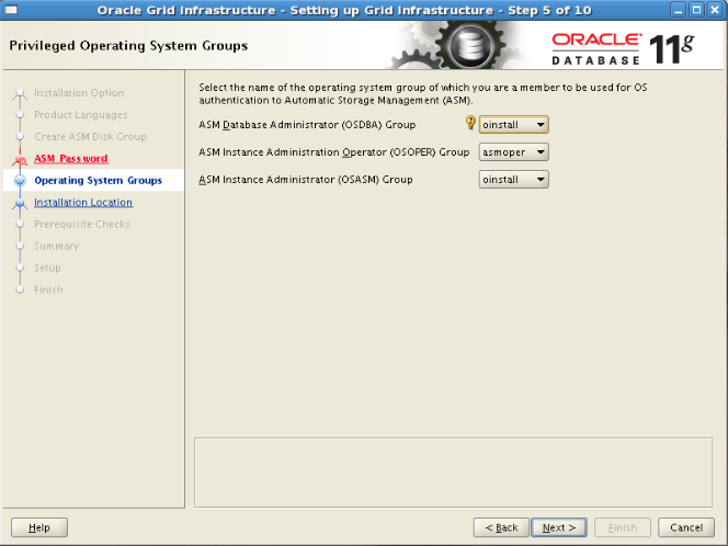 Oracle Dba Quick Notes Oracle 11g R2 Grid Infrastructure Asm Setup For Standalone Server Step