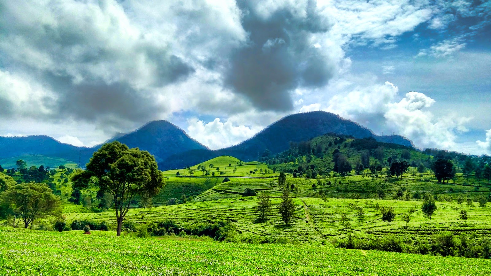 Profil Pangalengan Bandung Selatan