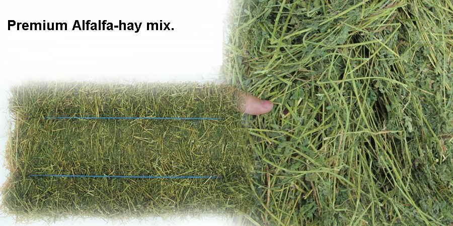 High Point Farm: Alfalfa Hay