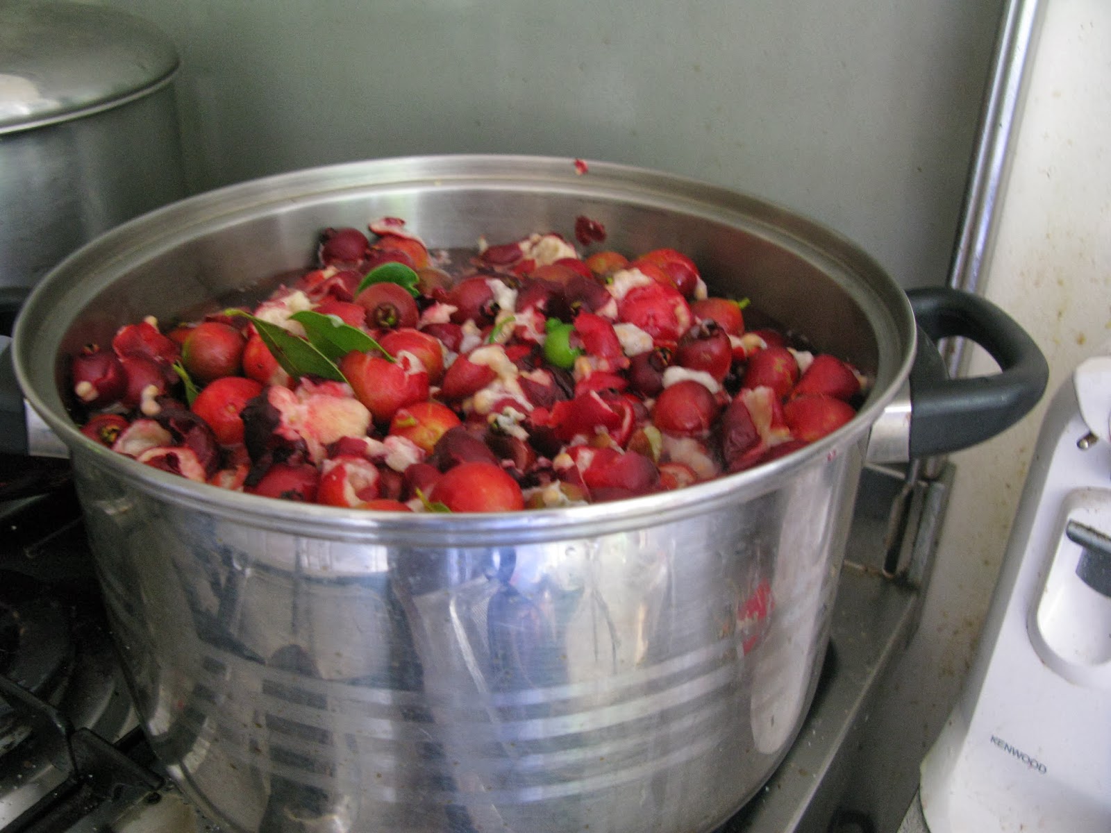 Devonhouse Recollections: GUAVA JELLY!