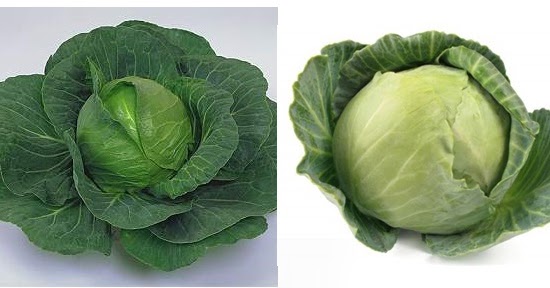 Muñecas con Nombres: Usos y Beneficios de la Col