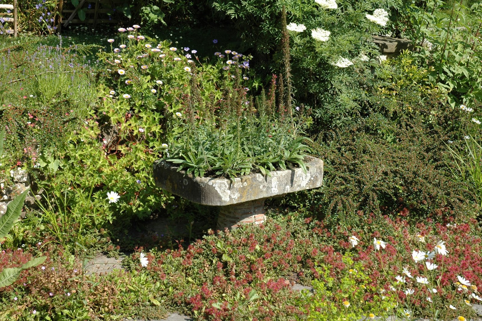 HAVETID: Engelske haver 1. del.