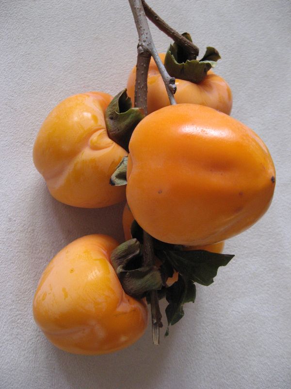 Tarım Siteniz: Yaş Hurma Çeşitleri (Persimmons varieties))