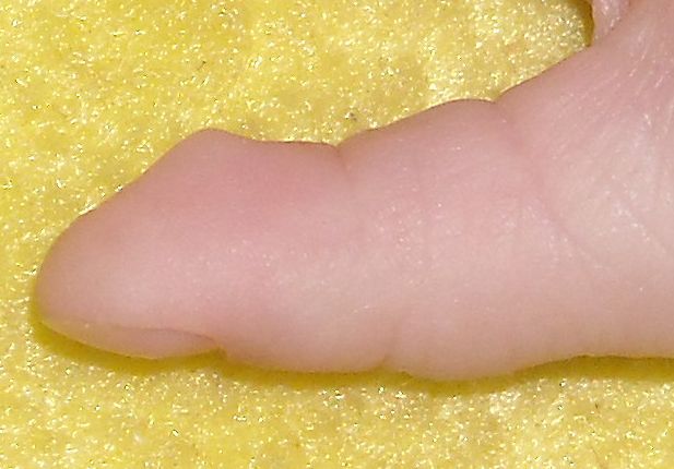 Gabriel's Shalom: February 2012