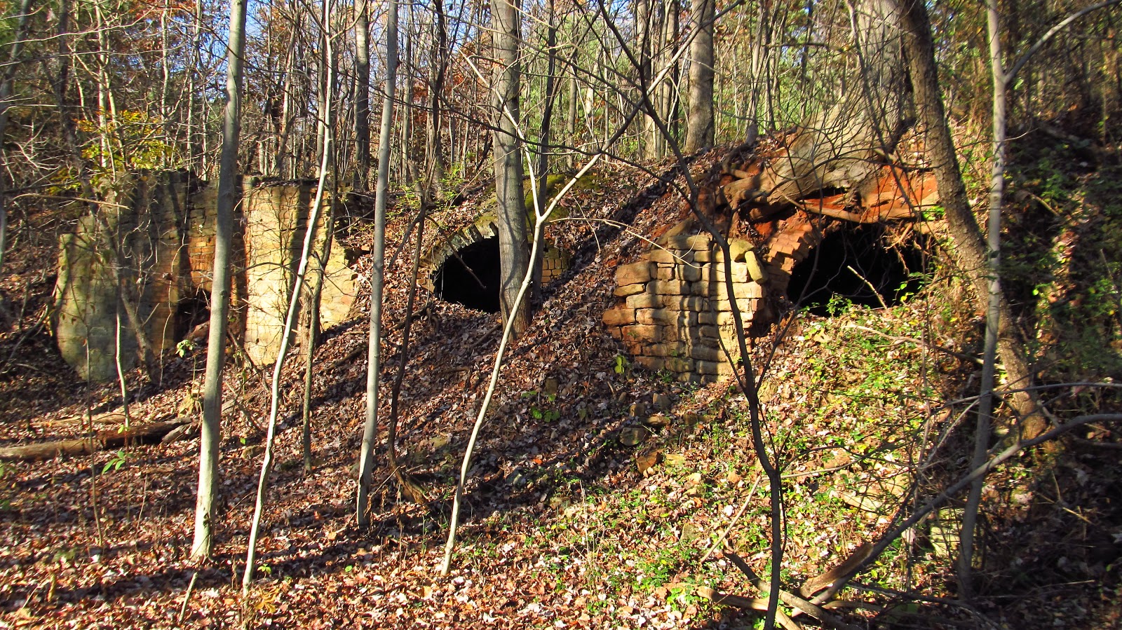 Old Industry of Southwestern Pennsylvania : Newcomer Coke Works