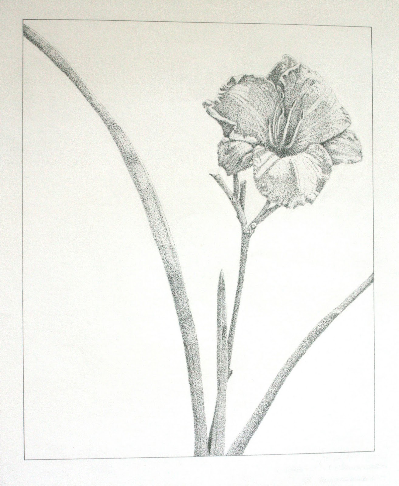 Art By Vreeke: SBA - ASSIGNMENT #1 DRAWING