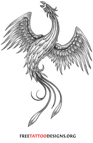 Japanese Phoenix Flash Tattoo - Flash Tattoo