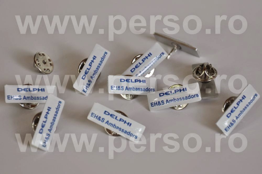 Insigne: Insigne cu pin