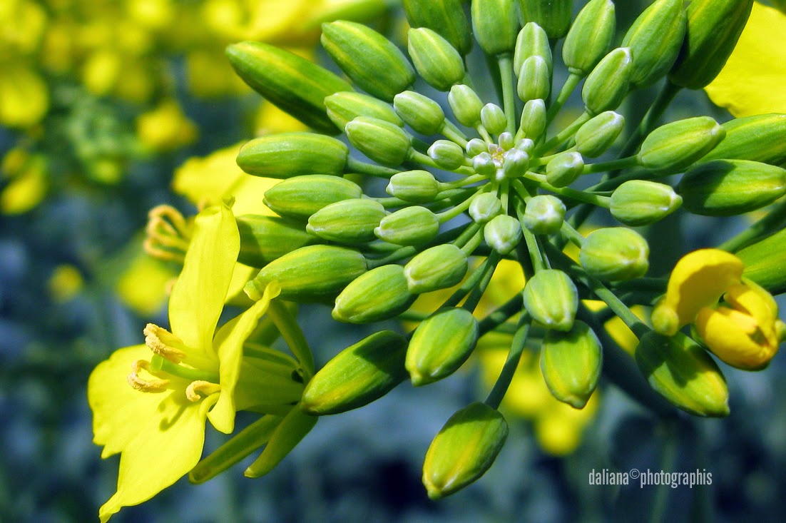 Photographis: April 2014