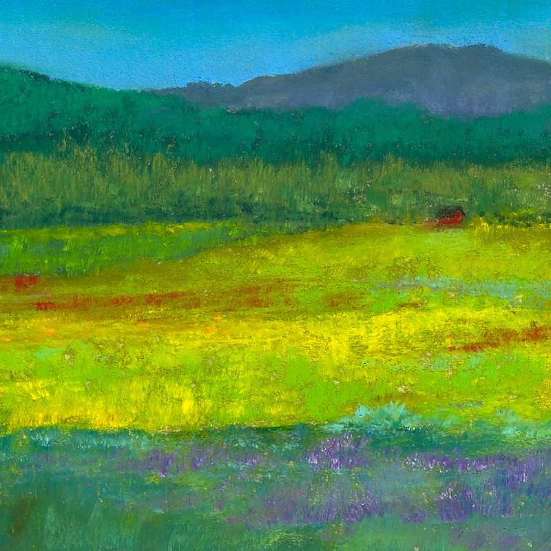 Pastel Artists International: House in the Meadow by David Patterson