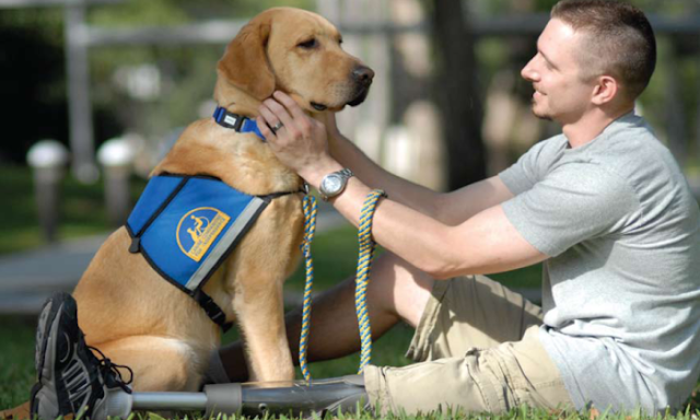 dog side stories: Μαρτίου 2018