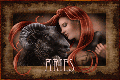 Características Generales del signo Aries