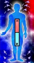Los efectos del magnetismo en los seres humanos