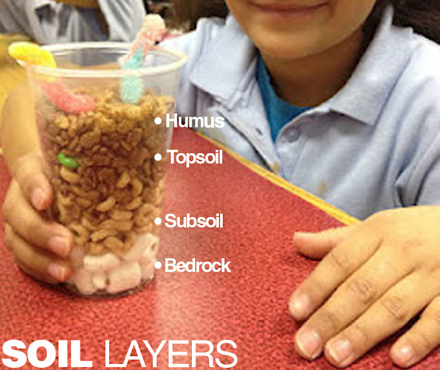 E is for Explore!: Soil Layers in a Cup