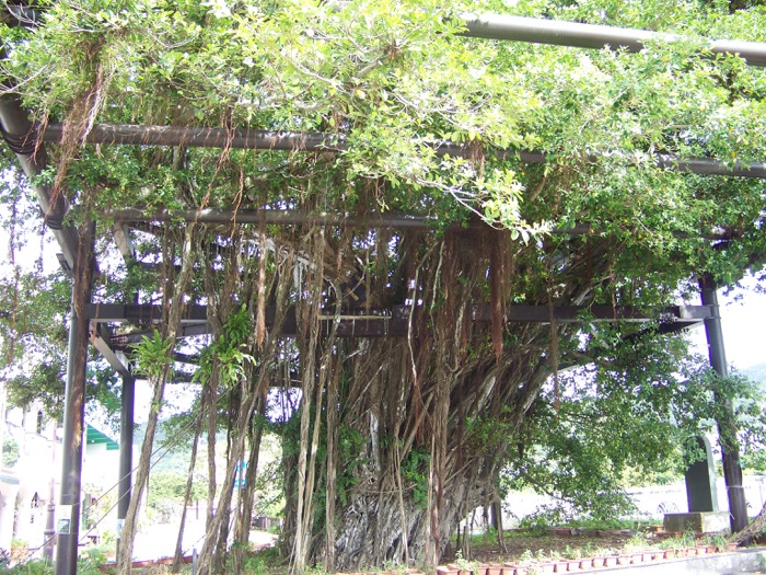 Art Dolls & Textiles by Jennifer Gould: Postcard from Japan: Friday ...