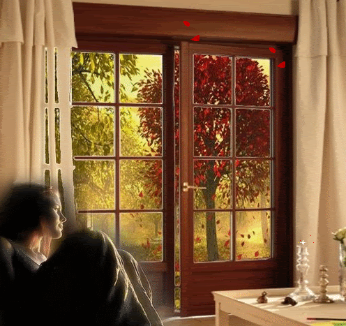 Beautiful colorful pictures and Gifs: Doors and Window Pictures.