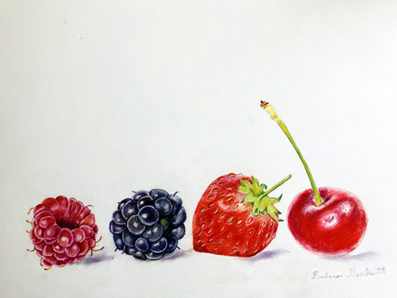 Barbara Goodsitt Studio: Fruit Line Up