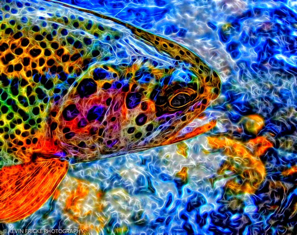 Fish Art 1