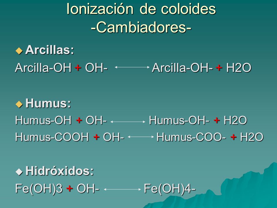 FUNDAMENTOS DE LA CIENCIA: COLOIDES ORGÁNICO-MINERALES DEL SUELO Y SU ...