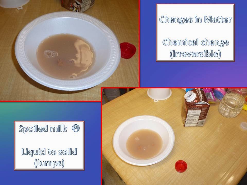 Ms Rashid: Stinky Milk Experiment