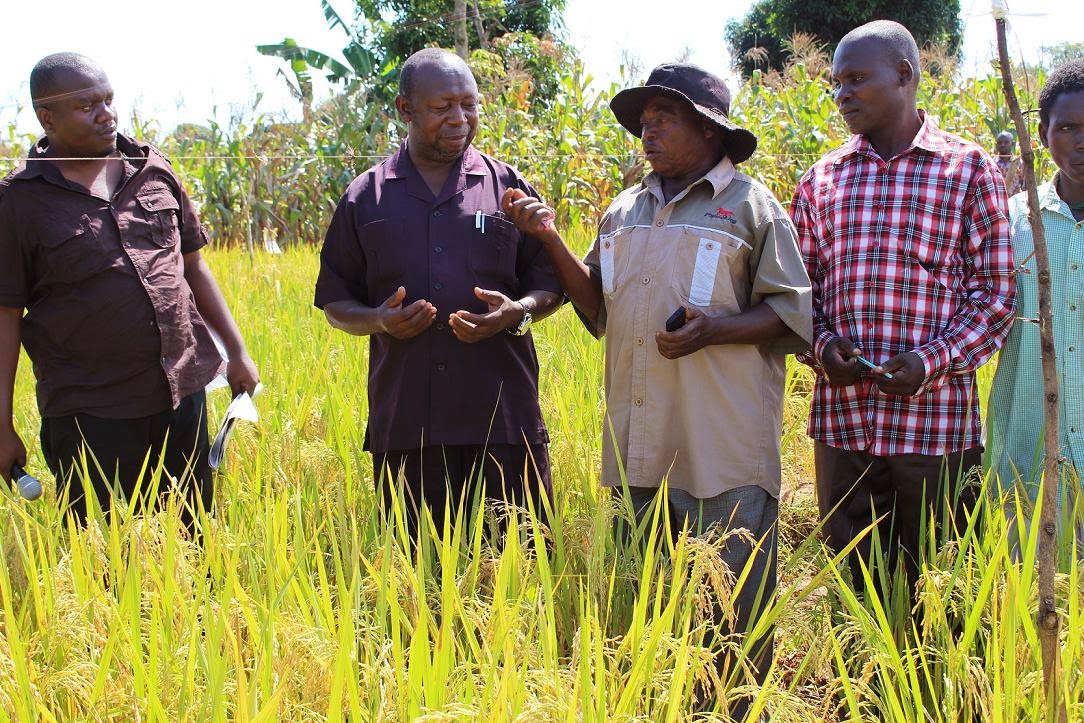 GWIJI LA MATUKIO RUVUMA: WAKULIMA NAMTUMBO WANUFAIKA NA TEKINOLOJIA YA ...